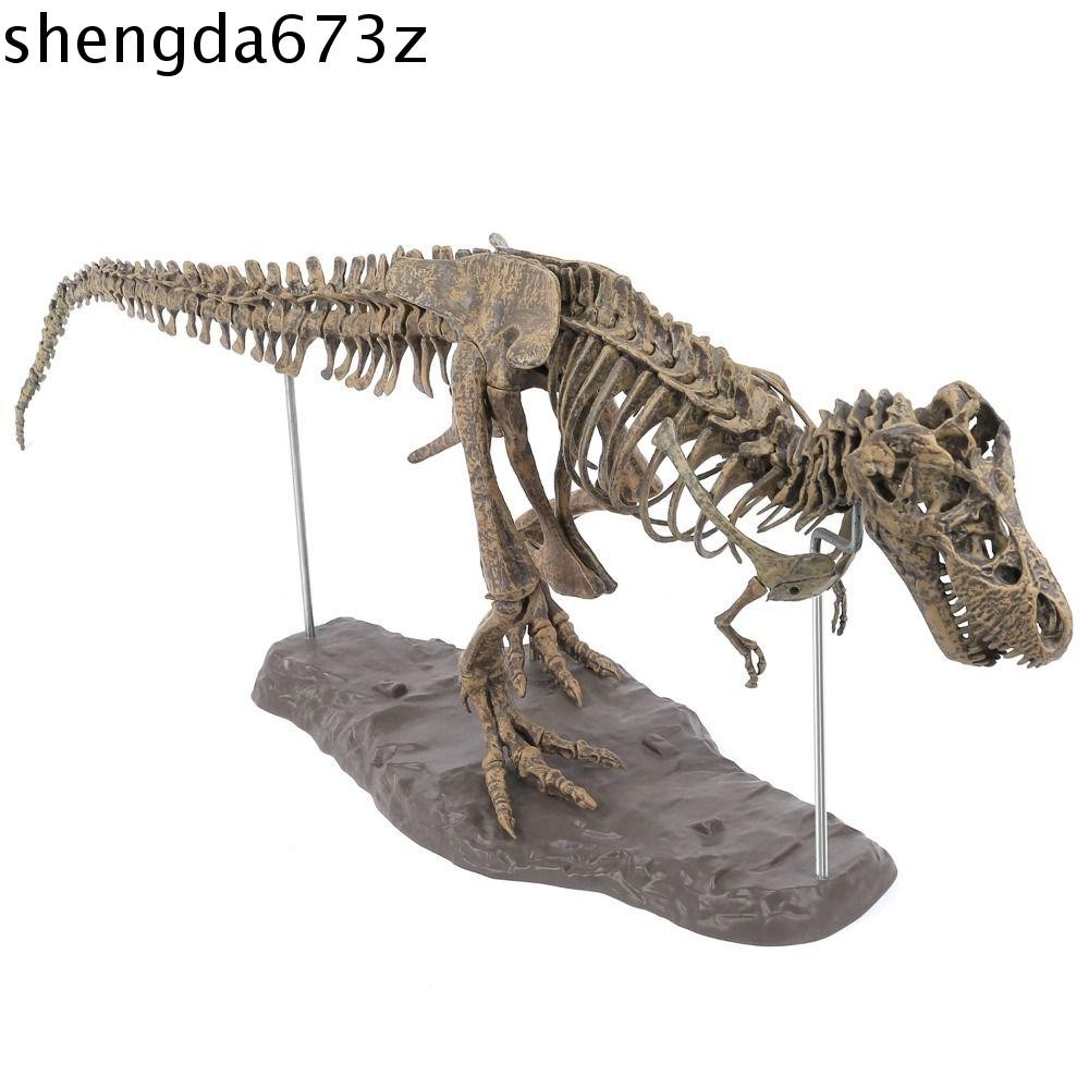 SHENGDA DIY Dinosaur Skeleton Toys, Animal Figurines Tyrannosaurus Rex ...