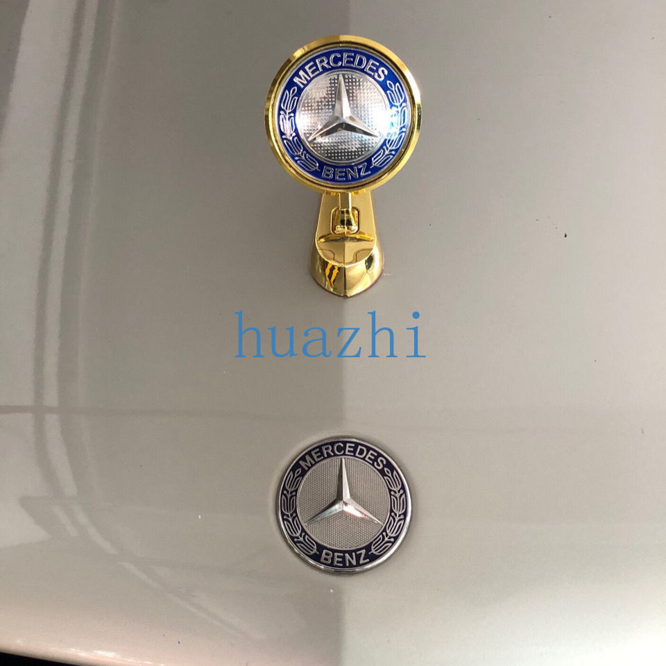 Mercedes Benz logo, Mercedes Benz front badge, hood badge, AMG apple ...