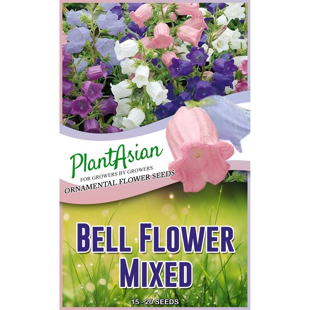 BELL FLOWER SEEDS MIXED | Shopee Philippines