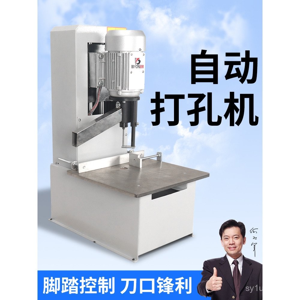 Baoyu New Model Single Head Foot Pedal Punching Machine Heavy Duty Tag ...