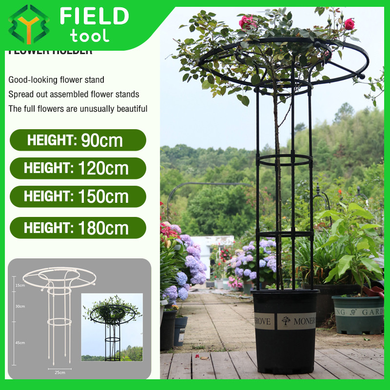 Horticultural payong trellis pag akyat pergola buwanang kabute rosas ...