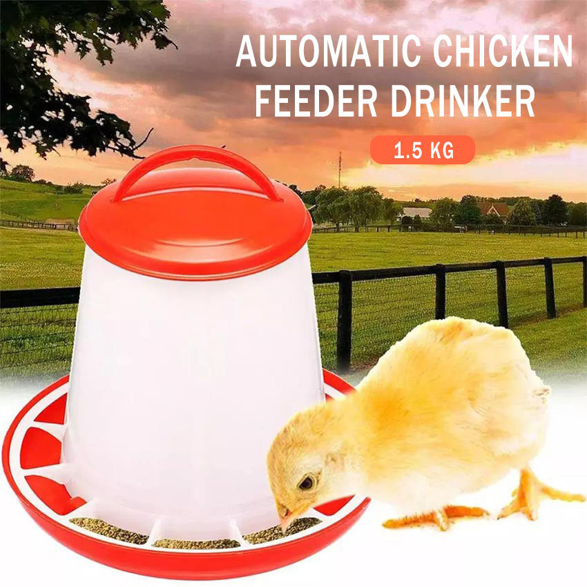 Modern Chicken Feeder Fully Automatic Feed Poultry Supply Rotary Food ...