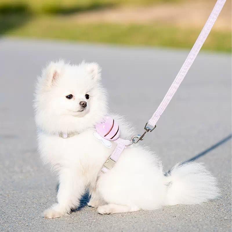 Cute Bee Adjustable Pets Cat Dog Harness & Leash Set | Shopee Philippines