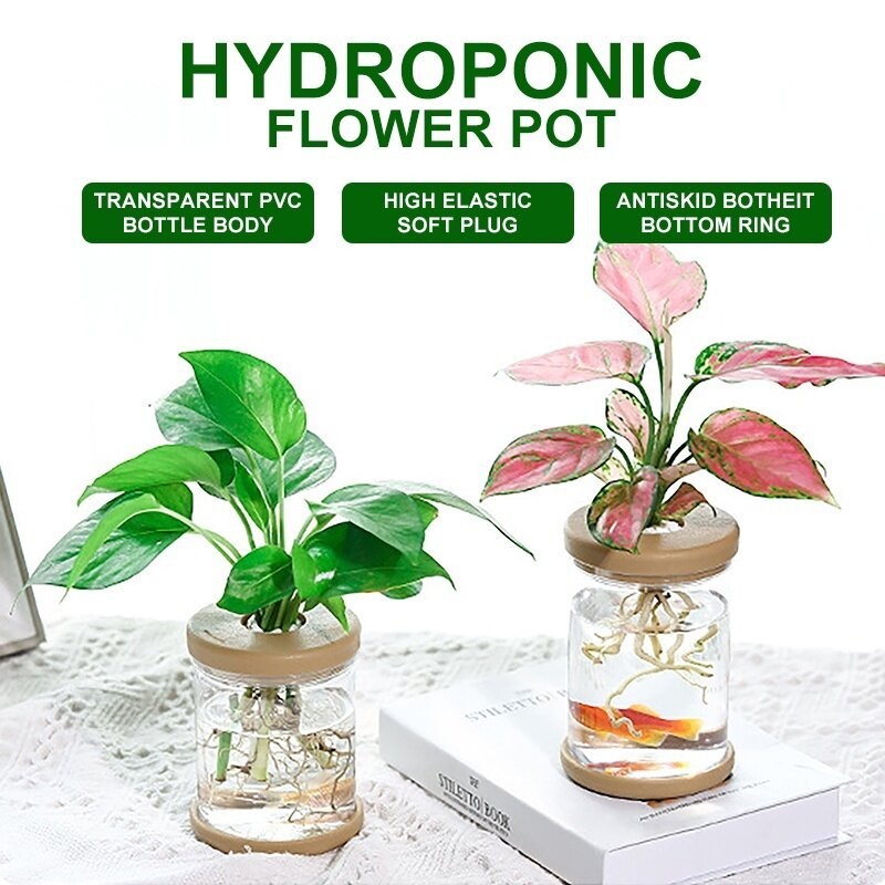 PVC Hydroponic Pot Transparent Water Planting Vase Propagation Pot ...