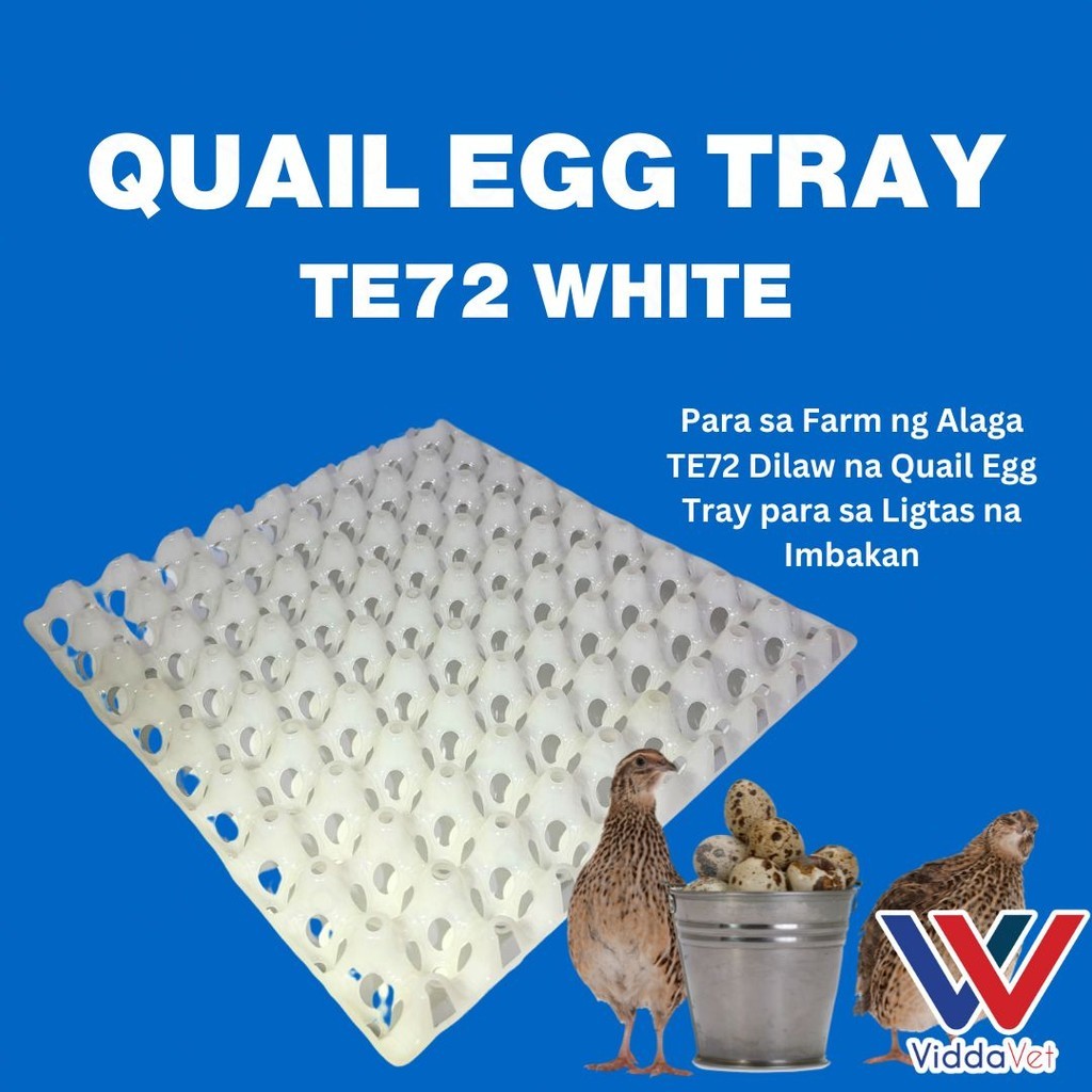 White Quail Egg Tray with 24 Slots for Animals Ideal for Safe Clean Egg ...