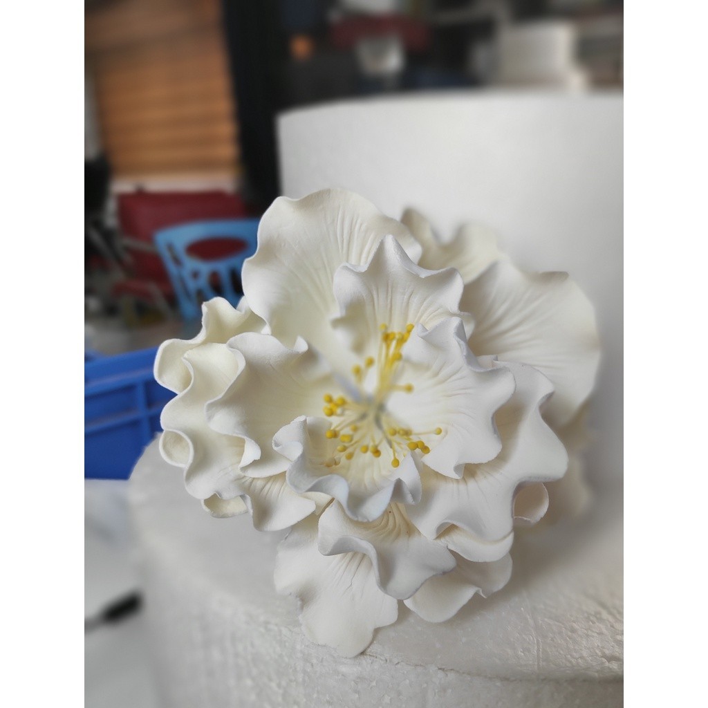 Perla Peony Extra Big White 5-6 inch Limited [HD] edible flower cake ...