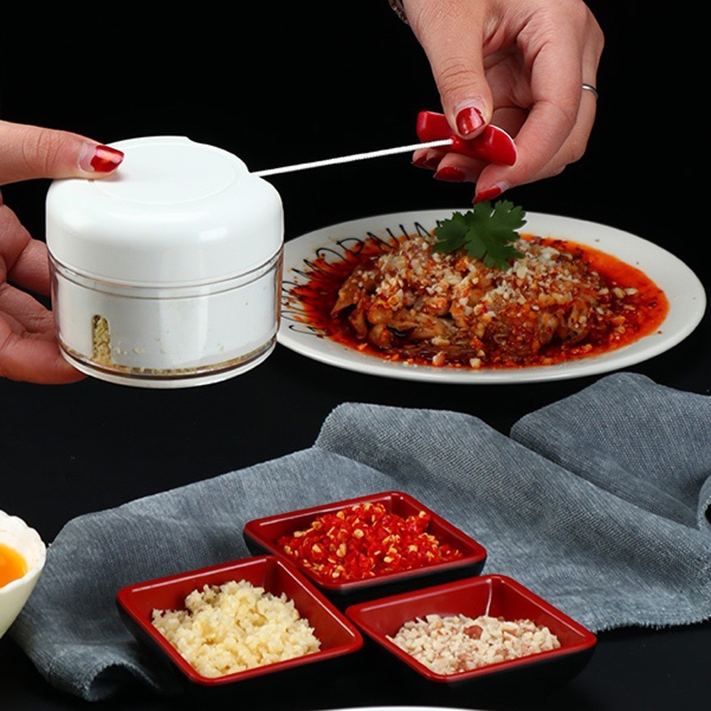 McT Mini Food Chopper Grinder Onion Ginger Masher Shredder Vegetable ...