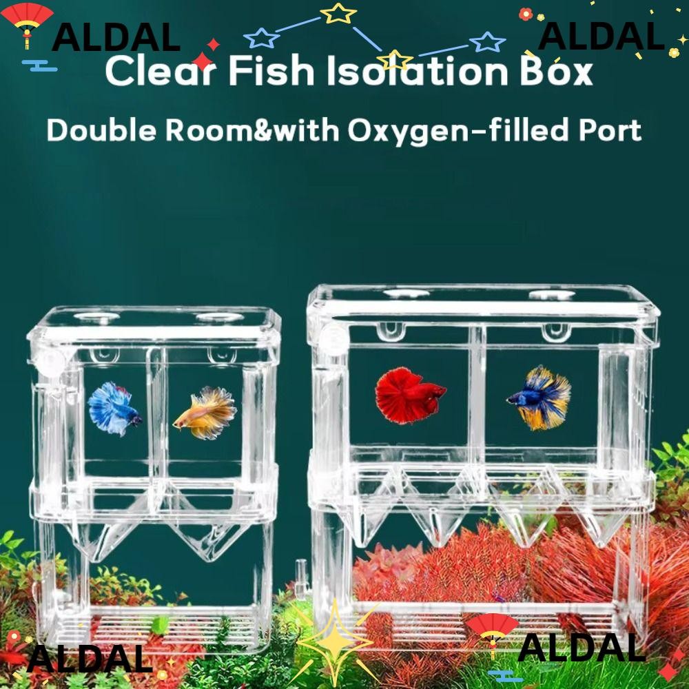 ALDAL Fish Isolation Box, Double Room Fish Breeder Box, High Quality ...