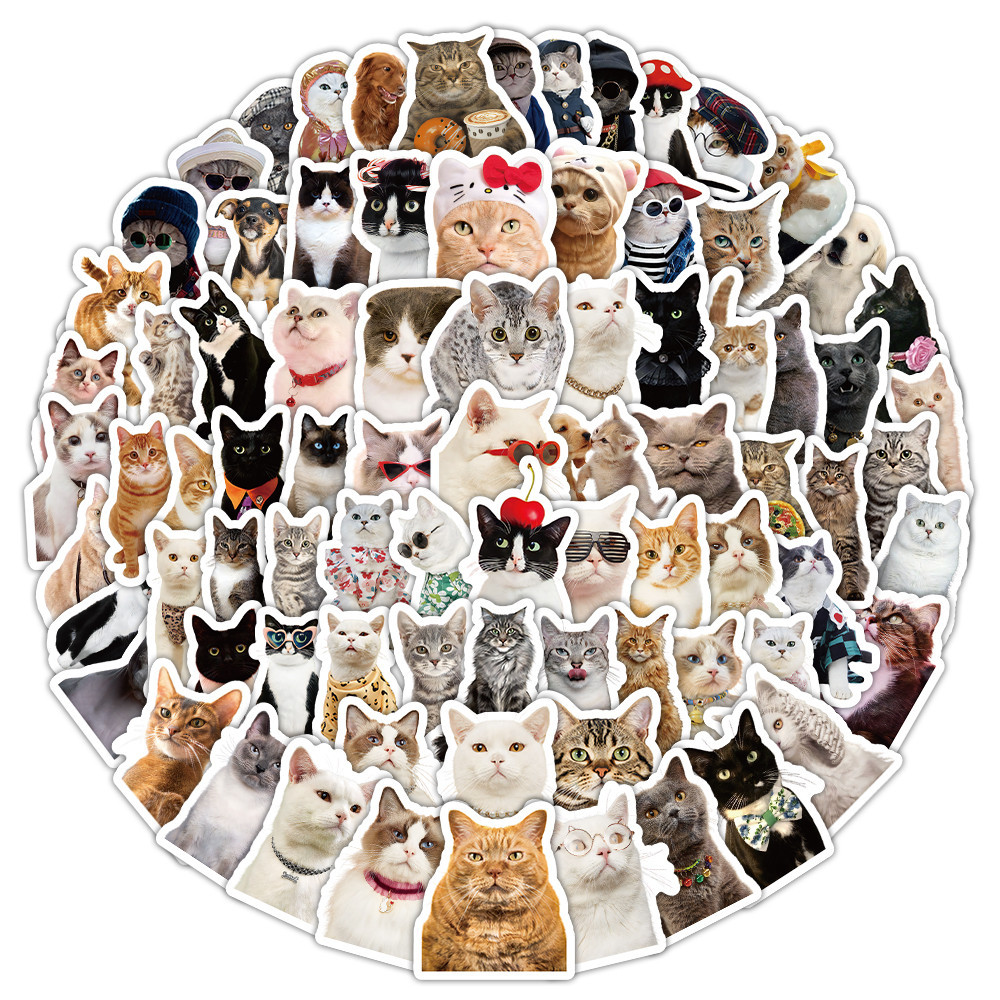 103PCS Cute Mixed Realistic Cats Waterproof Graffiti Stickers for ...