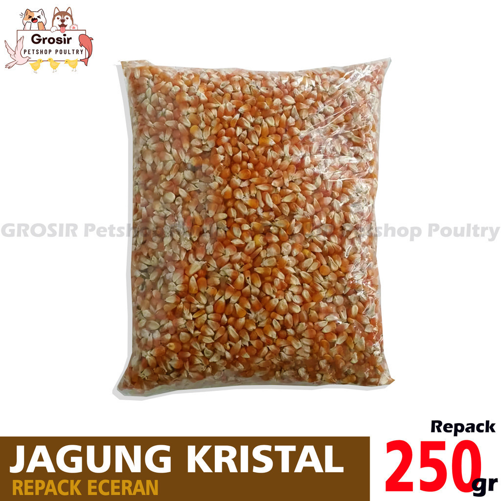 Corn Crystal Corn preci Corn Pigeon Feed Chicken With A Weight Of 250 ...