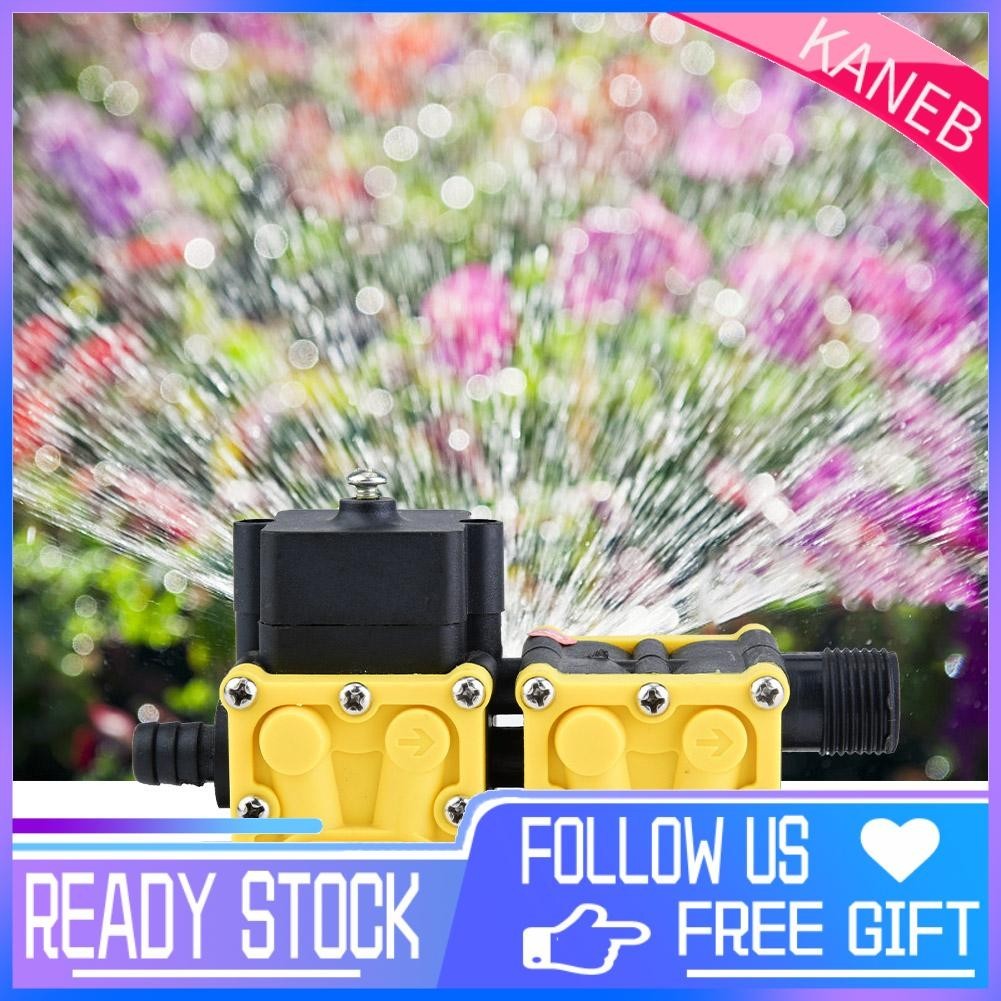 Kanebduk DC 12V Diaphragm Pump Head Accessories Electric Sprayer Motor ...
