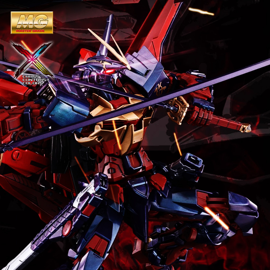 (Read Description) BANDAI MG 1/100 Gundam Astray Red Frame Kai [Cross ...