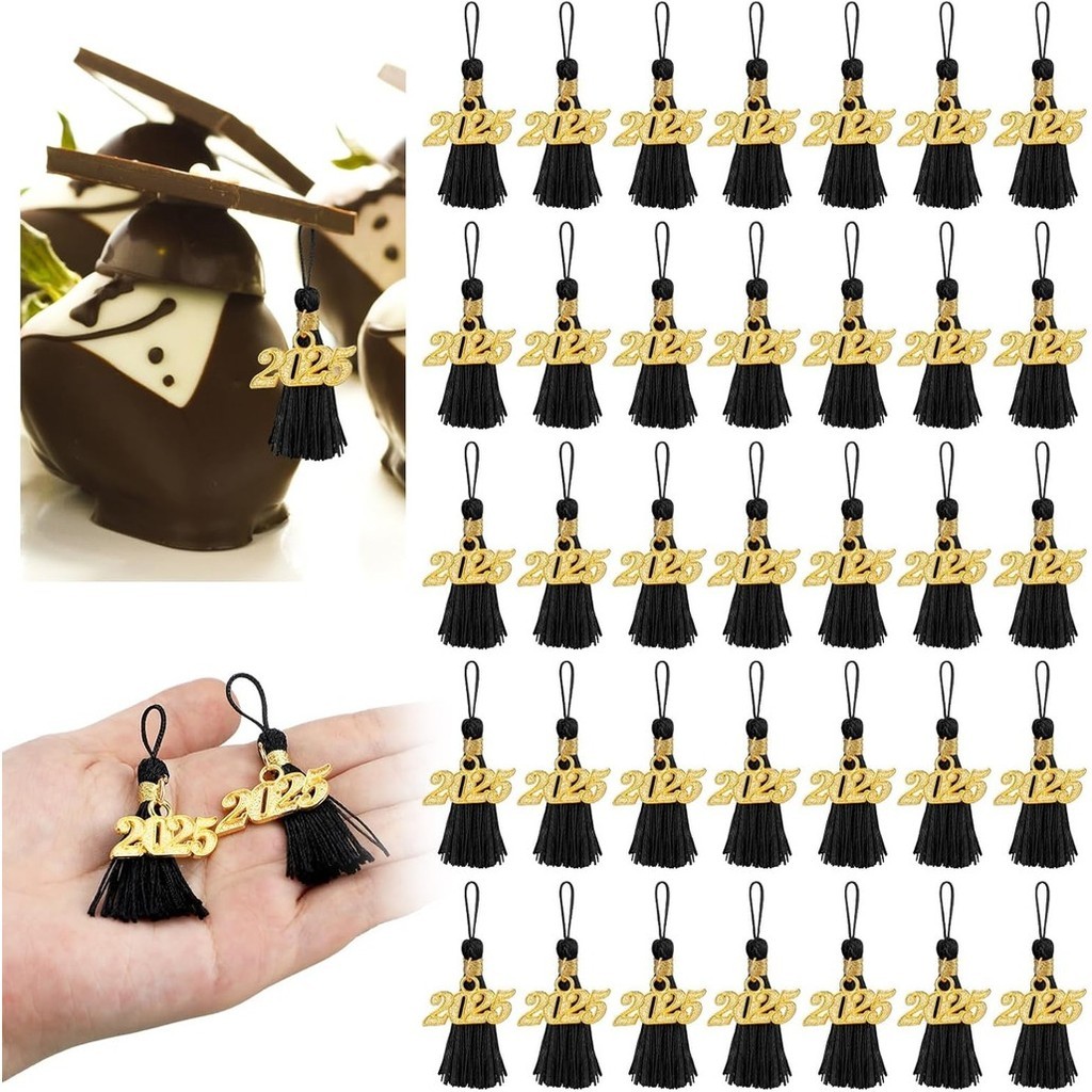 10 Pcs 2025 Mini Tassels for Craft Mini Graduation Tassels Graduation ...