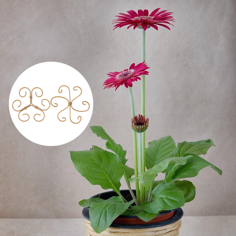 IGO Plant Stem Support Iron Monstera Plant Support Plant Stem Holder ...