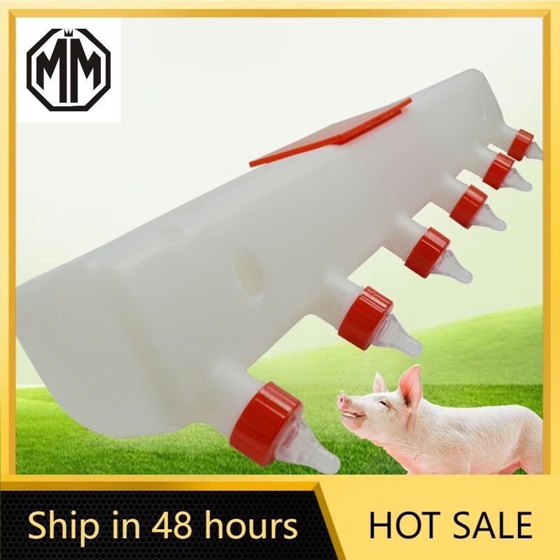 Piglet feeding device Silicone Nipple Feeder for Piglet Lamb nursing ...