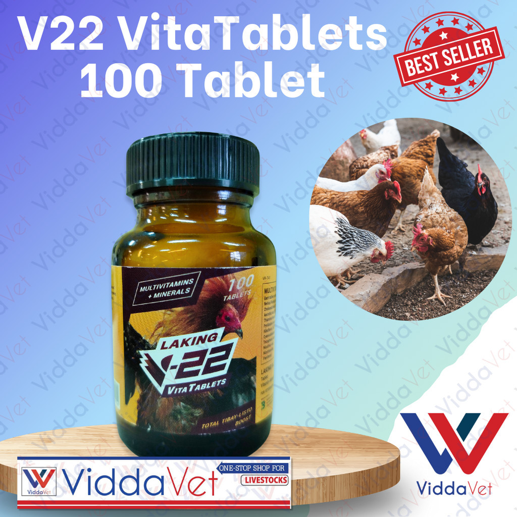 V22 Vita Tablets 100tablets Comprehensive Multivitamin Formula | Shopee ...