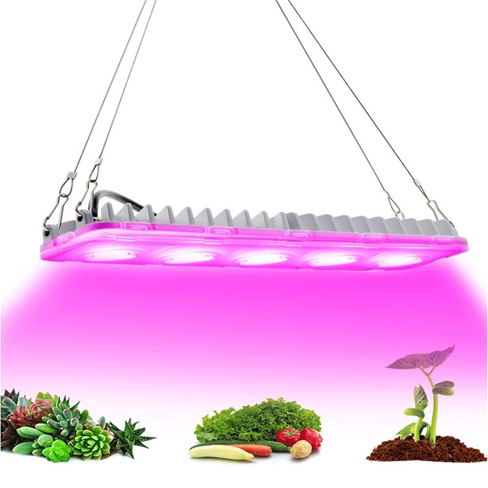 RR+~COB 50W LED Grow Light 220V Full Spectrum Grow Lamp Indoor Plants ...