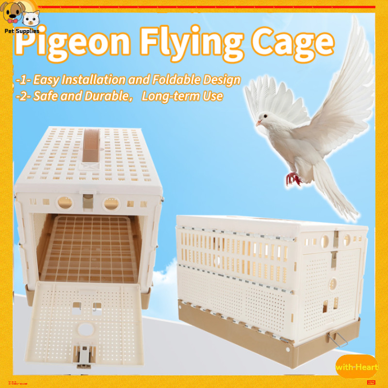 Foldable Pigeon Bird Cage Training Box Plastic Cage LARGE Pigeon ...