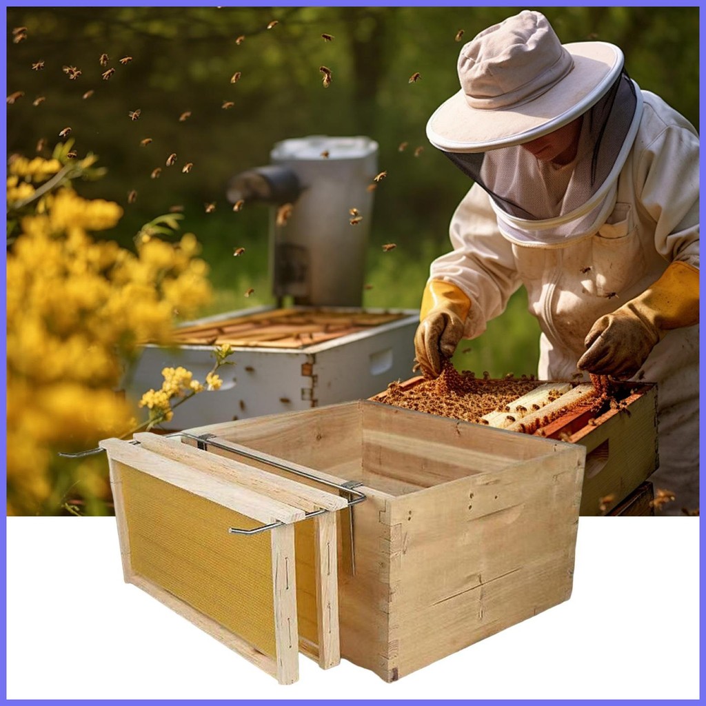 Bee Frames Sturdy Stainless Steel Bee Hive Stand Beehive Frame Grip ...