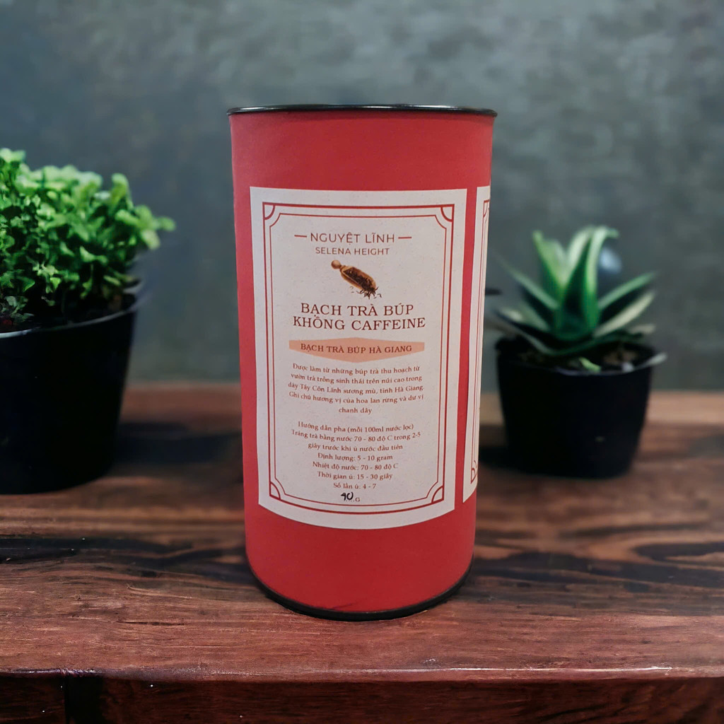 White tea bud no caffeine - Box of 5 small bags (White tea bud no ...