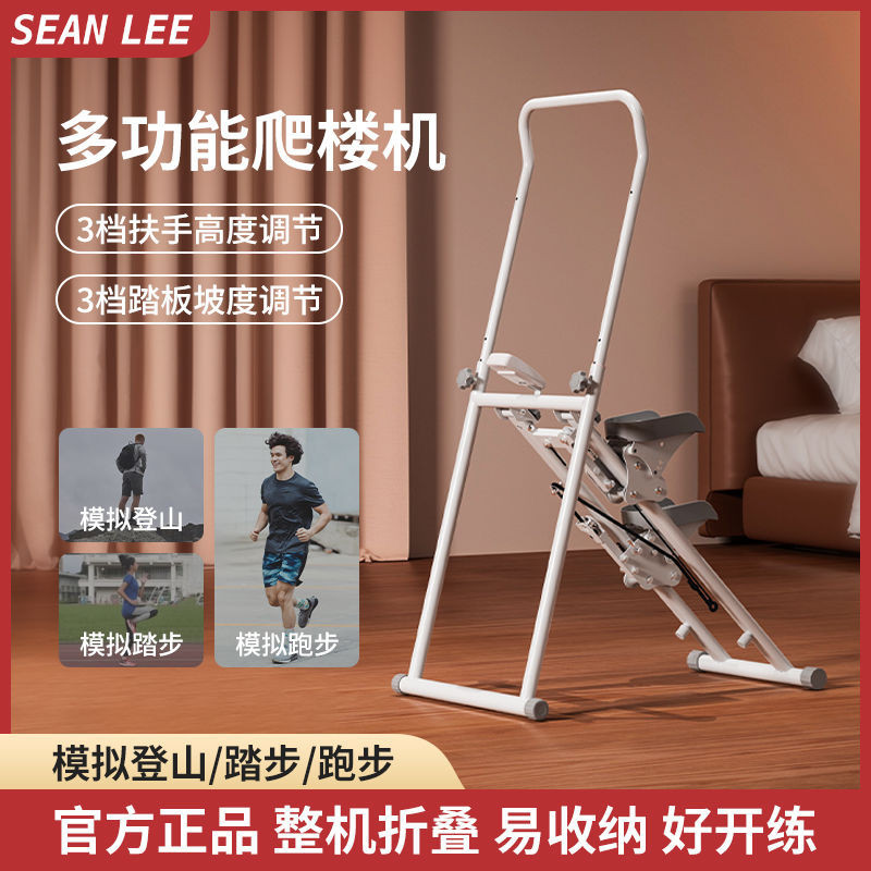 Sean LEE Multifunctional Stepper Indoor Climbing Frame Stair Climbing ...