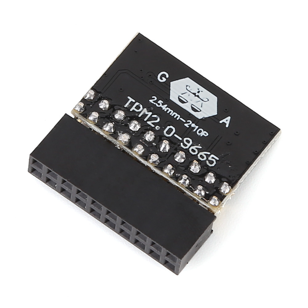 TPM 2.0 Encryption Security Module 20 Pin Motherboard Card 4 GB for ...