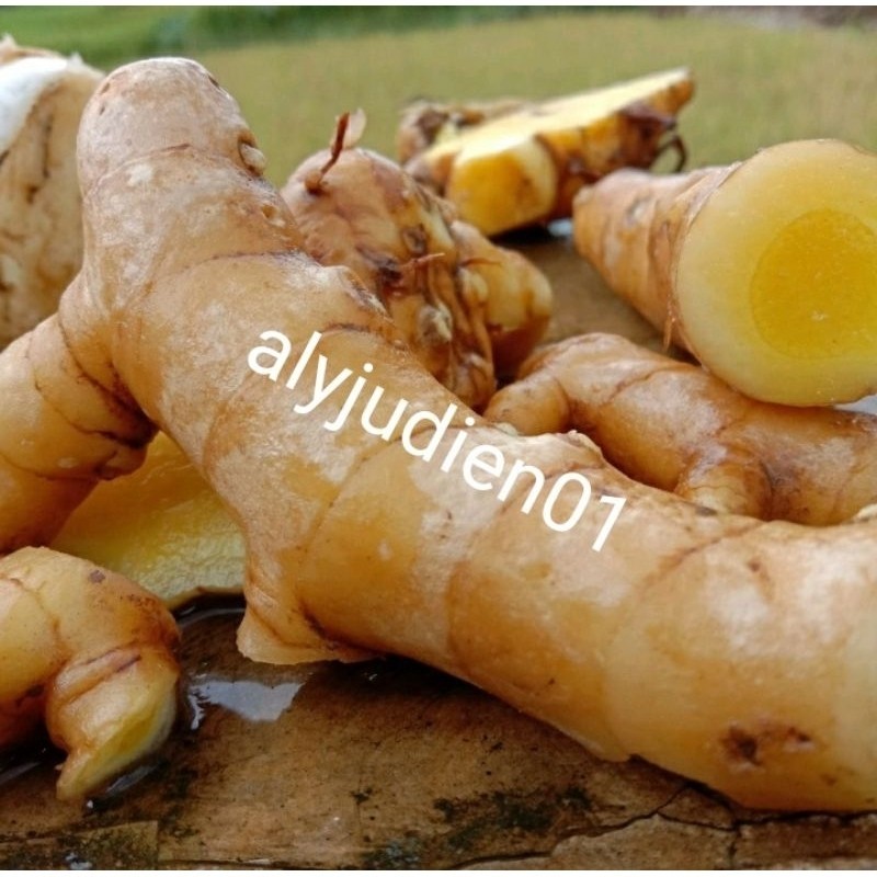 TEMU Mango filling 1kg | Shopee Philippines