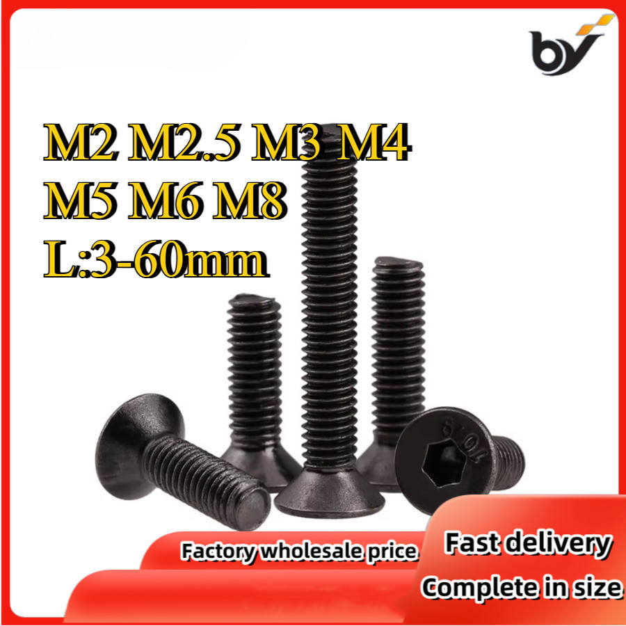 Screw/Grade 10.9 Black nickel Allen Flat / Socket Flathead / Countersunk Allen Head Screw M2/M2 ...