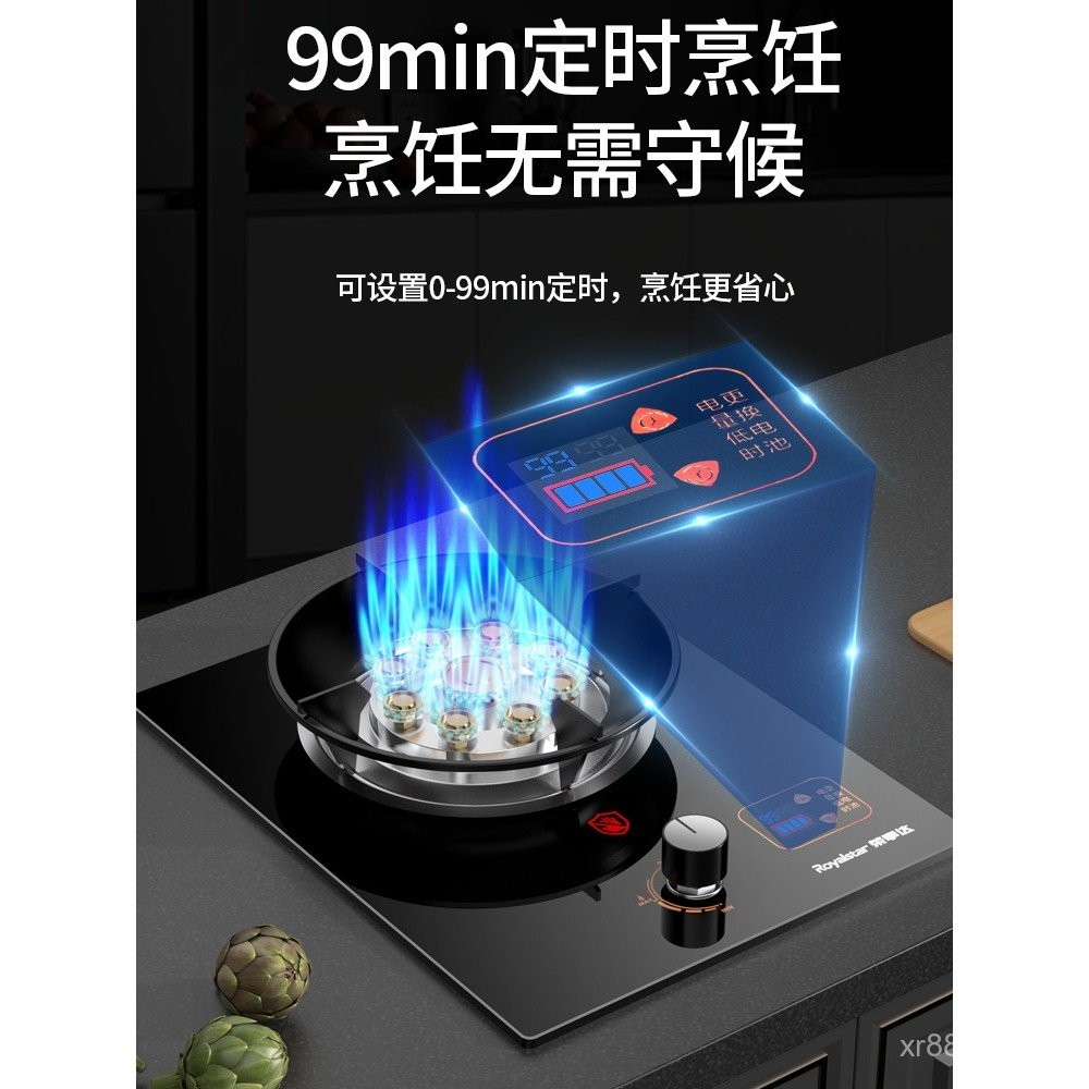 Royalstar Gas Stove Single Burner Household Liquefied Gas High Flame ...