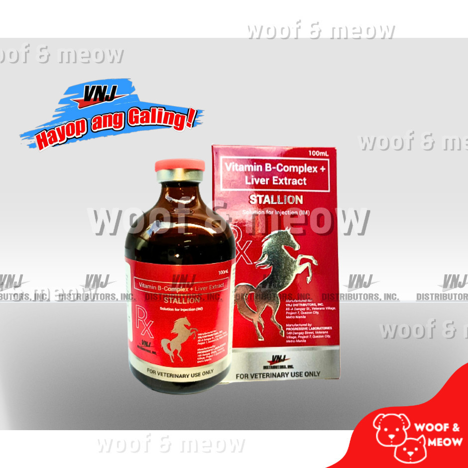 STALLION 100ml (Vitamin B-Complex + LIVER EXTRACT) | Shopee Philippines