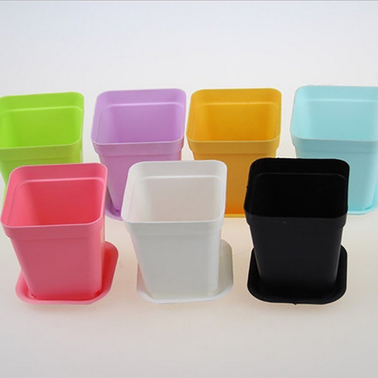 MINI COLORFUL SQUARE POTS WITH TRAY FOR CACTUS AND SUCCULENTS | Shopee ...