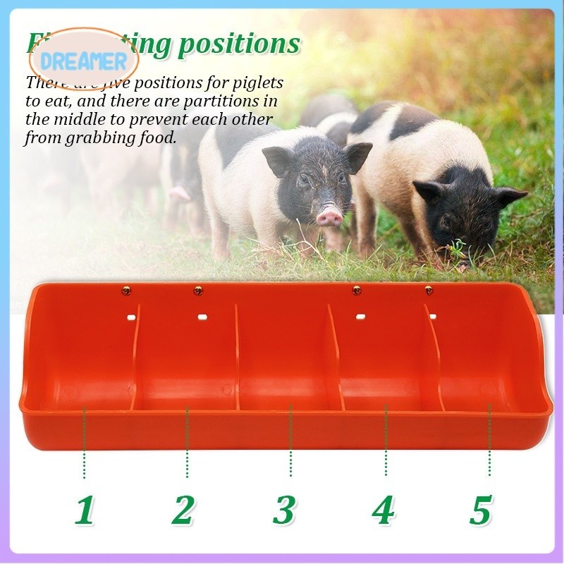 Piglet Trough Automatic Feeding Piglet Feeder Five Grids Pig Sow Feeder ...