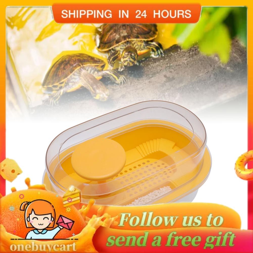 Onebuycart Mini Reptile Terrarium Aquarium Terrapin Lake with Plants ...