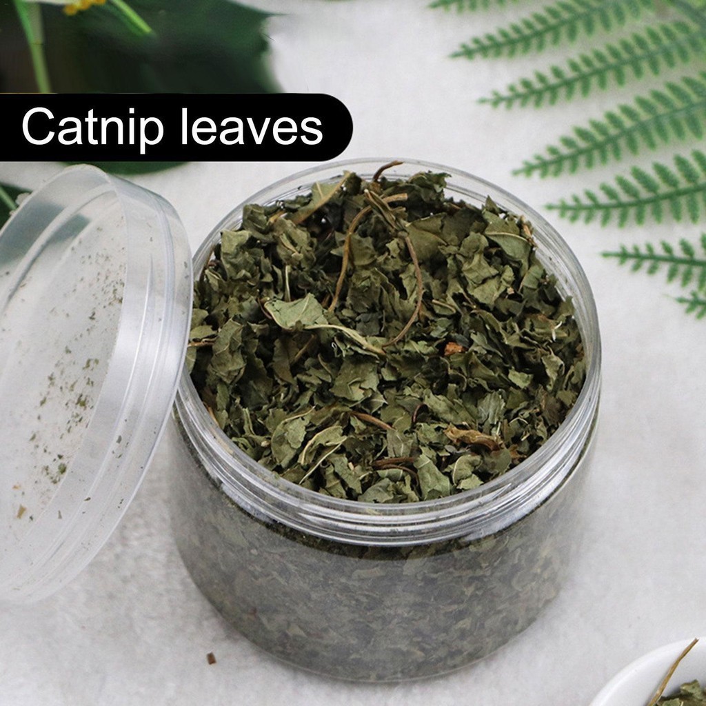 Natural Catnip 40g Dried Ground Catnip Soothing Natural Leaves Healthy Teeth Cleaning Catnip