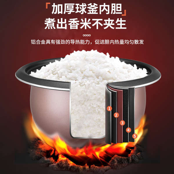 rice cooker rice cooker small Hemisphere Old Fashioned Rice Cooker Home ...