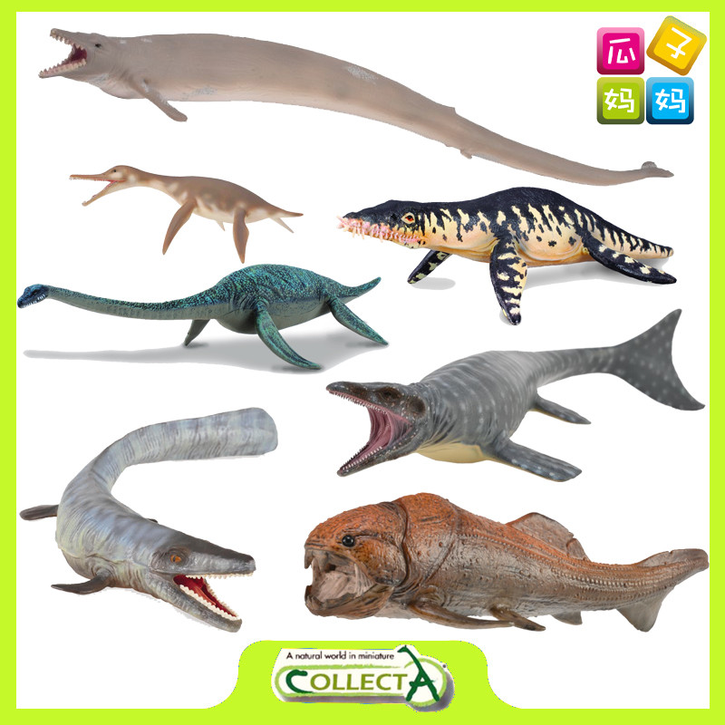 Collecta Me you him Dragon King Whale Canglong Neptune Dragon Ancient ...