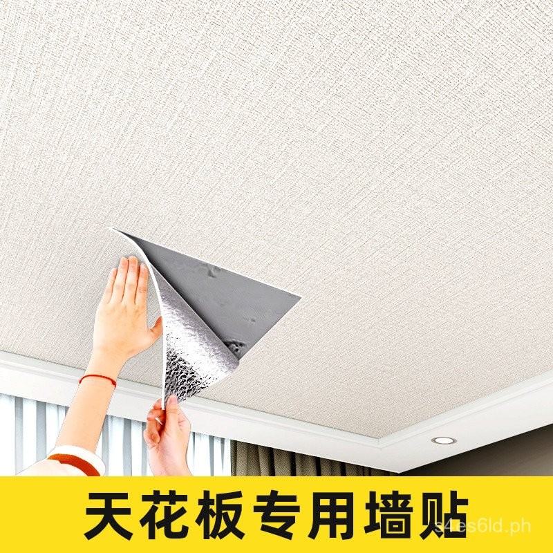 Ceiling Stickers Self-Adhesive Roof Hanging Ceiling Decoration Ugly ...
