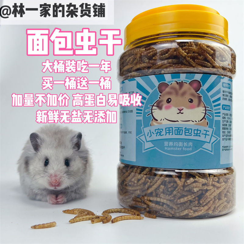 1661 People Praise Hamster Food Mealworm Dried Chipmunk Golden Silk ...