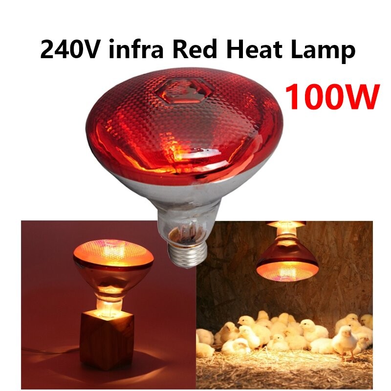 100w Infrared Heat Lamp Piglet Chicken brood Bulbs Waterproof Anti ...
