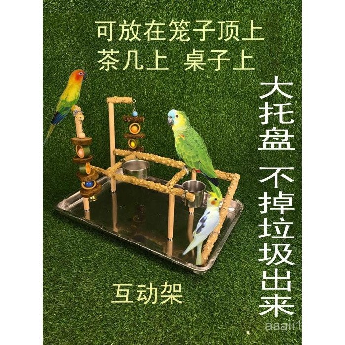 Blood Flying Pepper Wood Parrot Desktop Interactive Game Training Frame ...