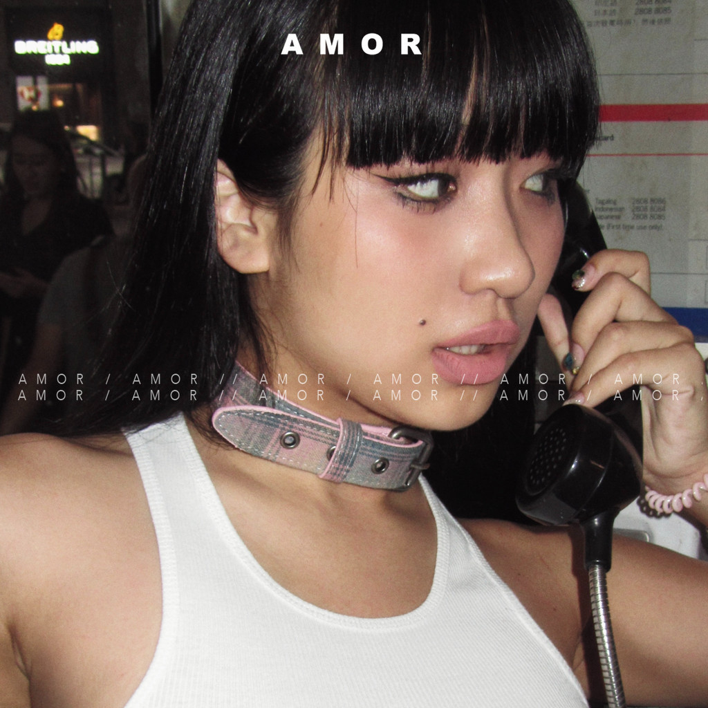 Original design pink blue checkered collar with cute and sweet choker ...