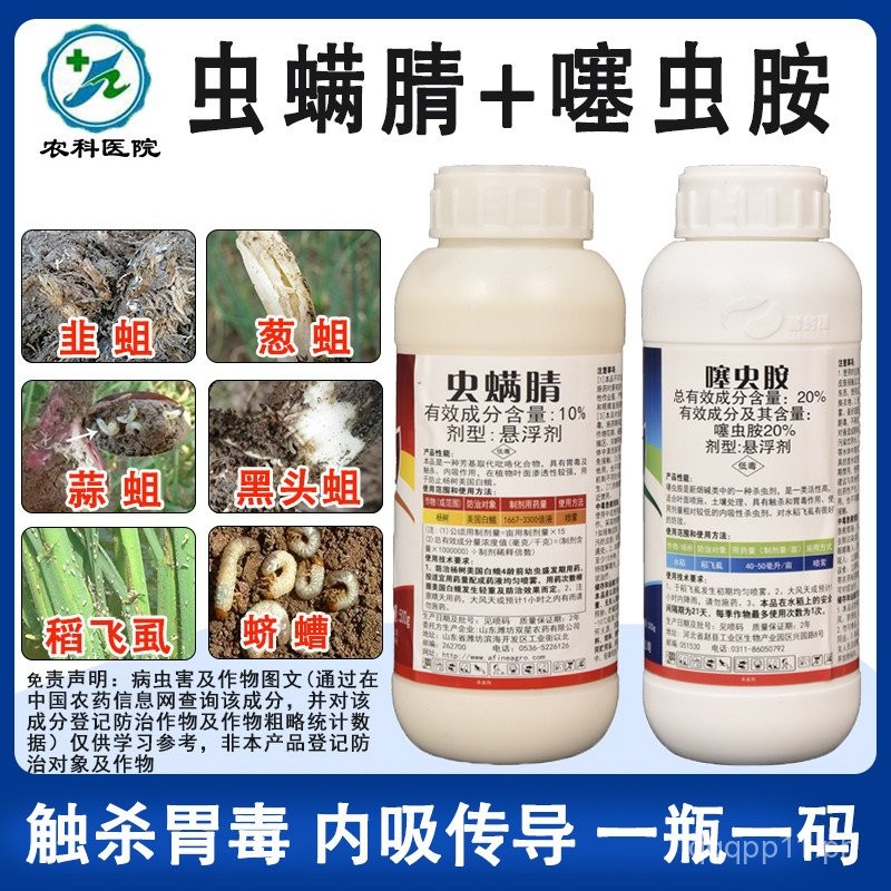 Acanthoxylamide Green Chinese Onion Garlic Leek Maggots Blackhead ...