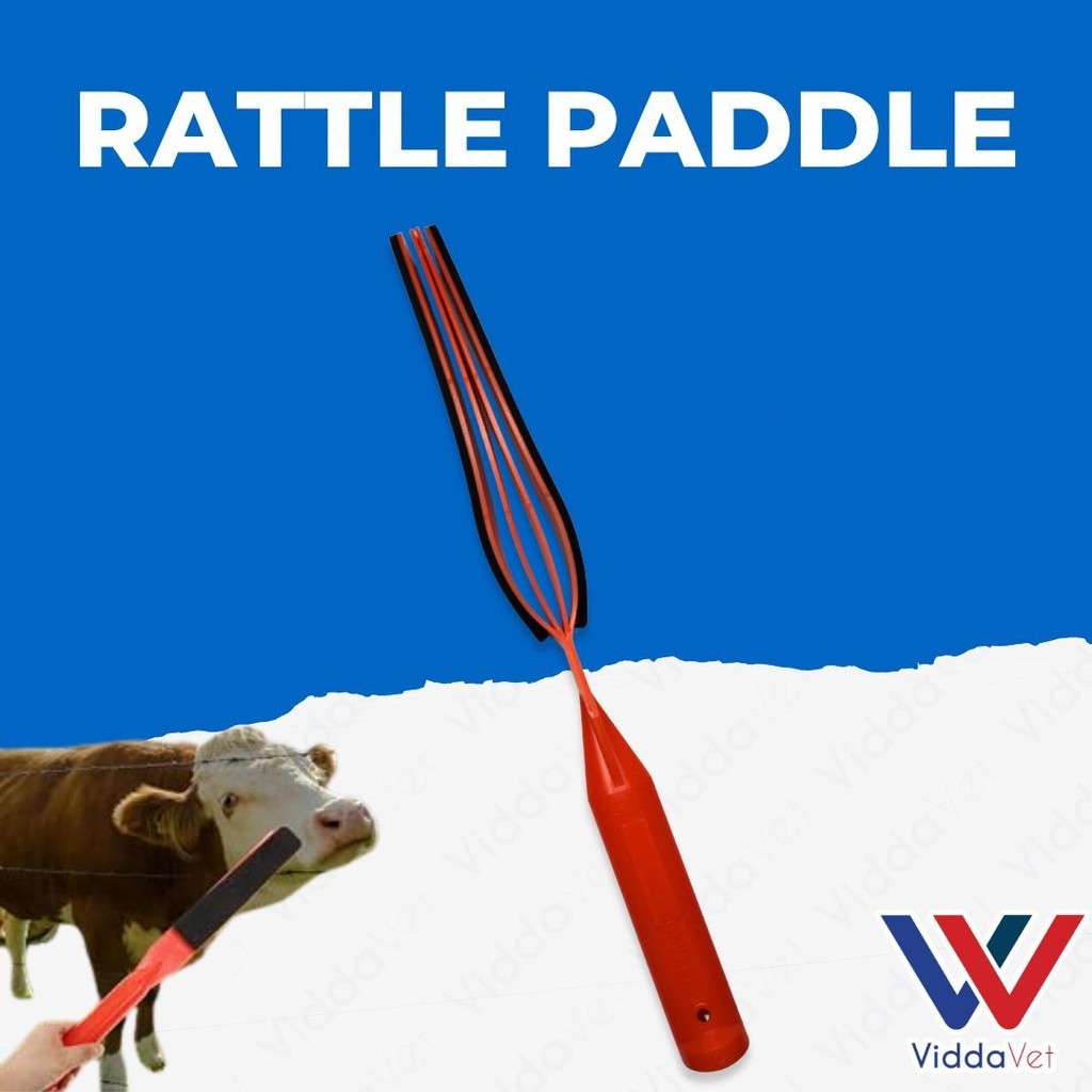 Rattle Paddle for Animals Ideal for Behavioral Training Horses and ...