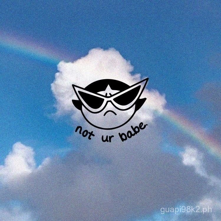 TLP Hollow car stickers Fluffy wearing sunglasses Not your item ...