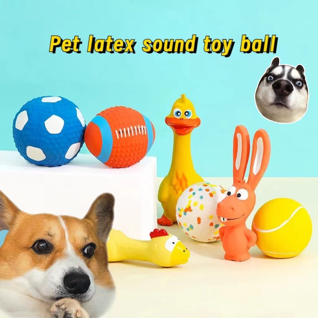 Small Dog Vocalization Bite-Resistant Training Dog Teddy Molar Latex ...