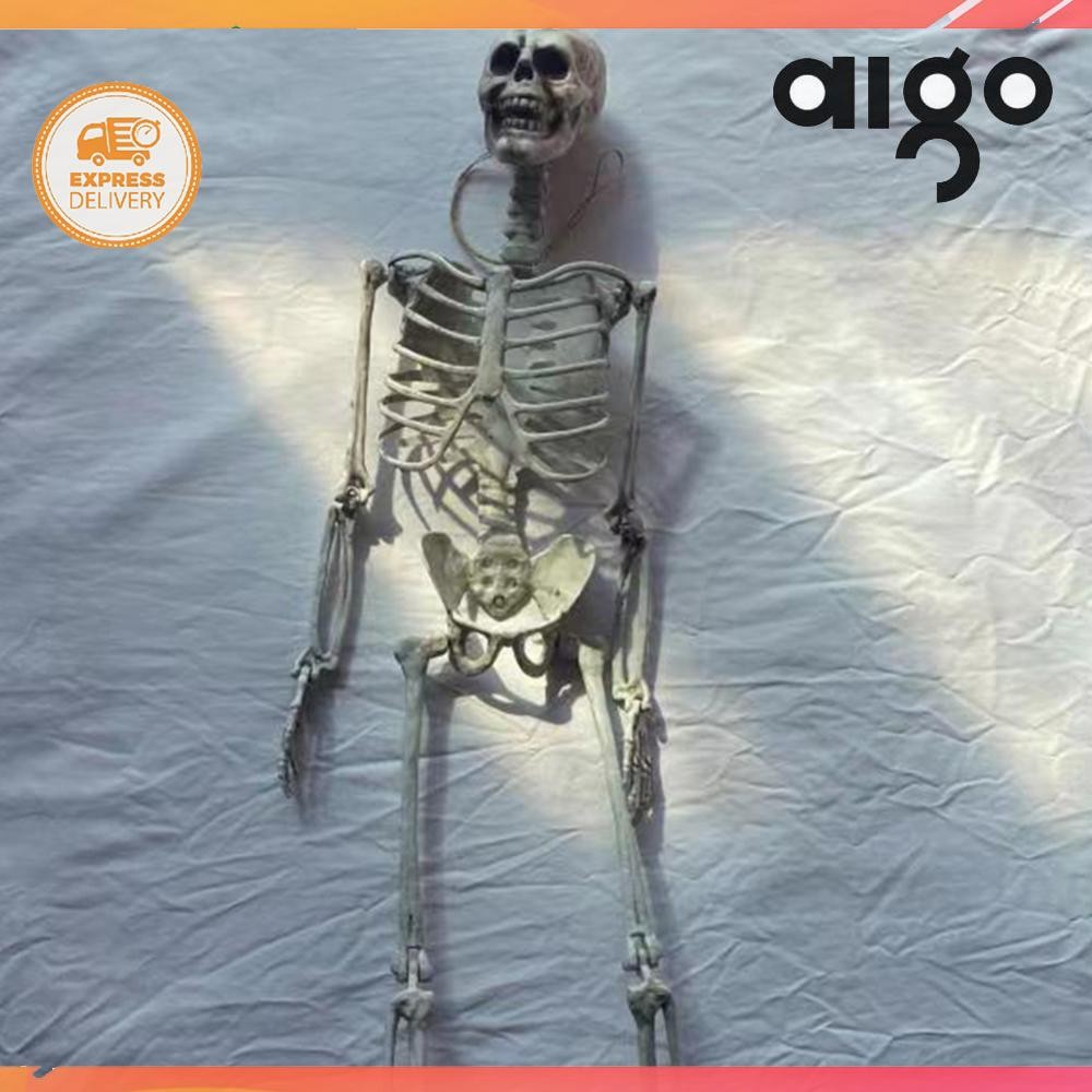 Full Size Fake Human Skull Bones Poseable Horror Halloween Party ...