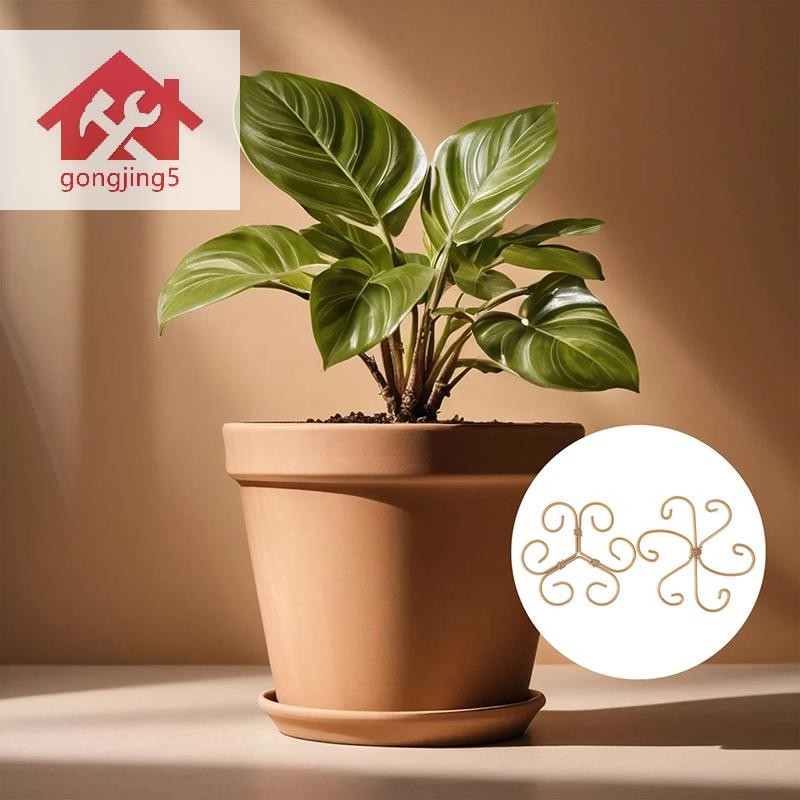 IGO Plant Stem Support Iron Monstera Plant Support Plant Stem Holder ...