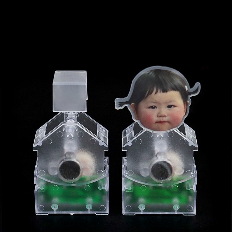 Left and Right Sway Parts Ornaments Battery Model Solar Model Car ...