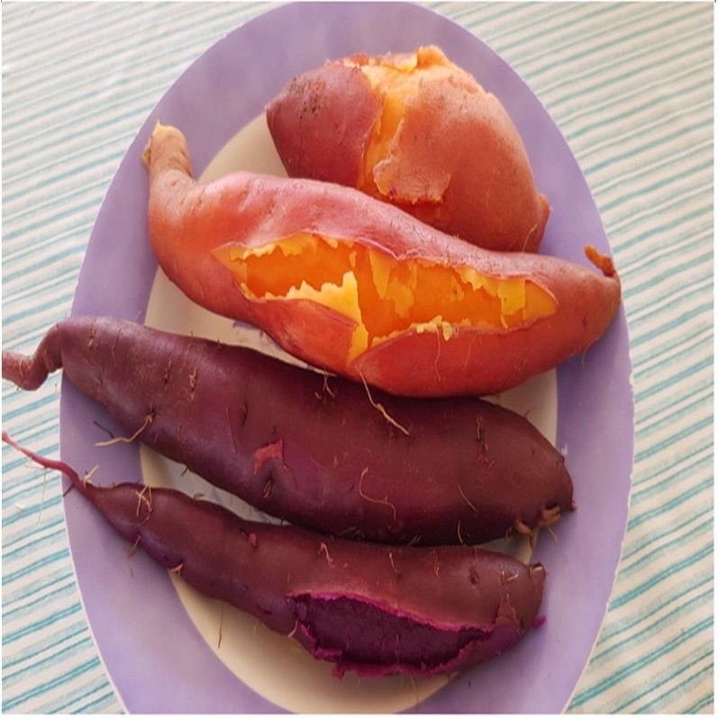 New Fresh From A Daily Farm Japanese Sweet Potato Okinawa Orange ...