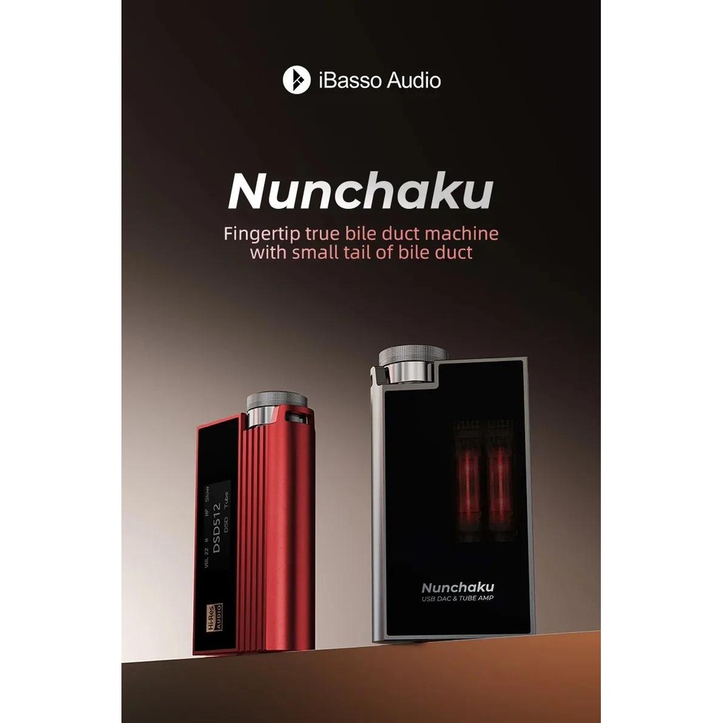 iBasso Nunchaku Dual Stick Decoder Earphone power amplifier HIFI USB DAC Warm sound Lossless ...